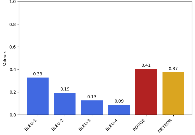 Image Captioning | Guillaume Dufau